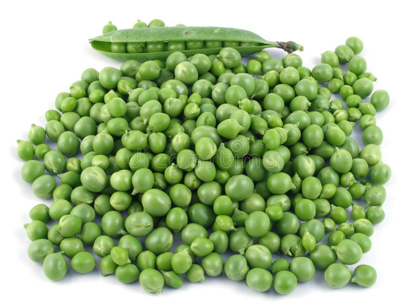 Peas stock image. Image of vegetable, food, garden, english - 922347