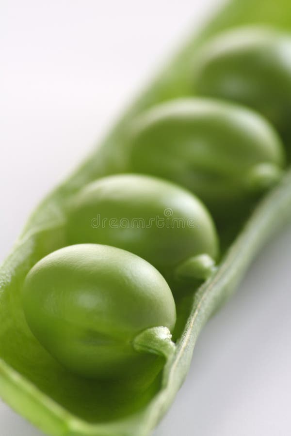 Peas stock image. Image of seed, vegetable, food, vegetarianism - 953081