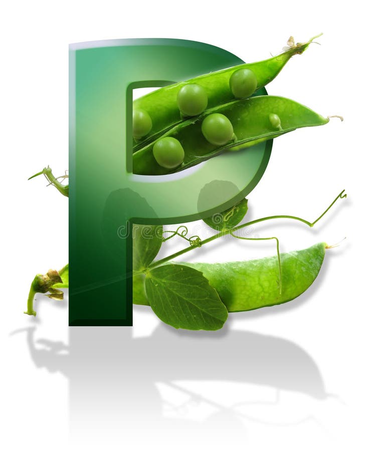 Bed of peas stock photo. Image of vegetables, stern, blown - 16527438