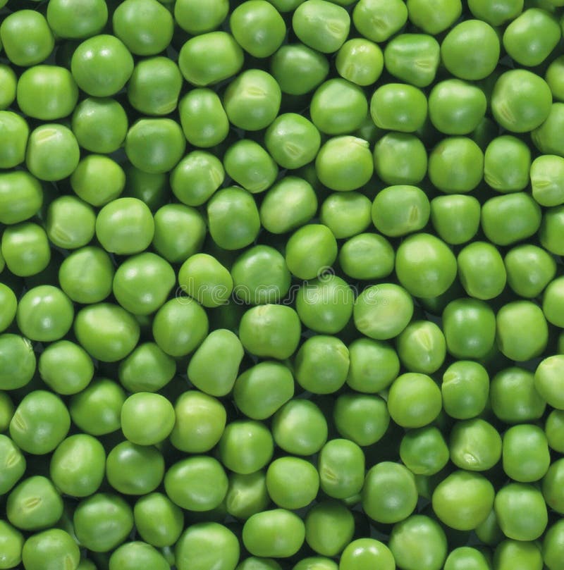 Texture background of peas stock image. Image of ingredients - 114565145
