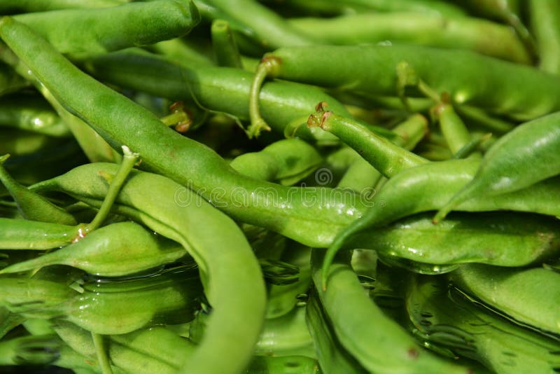 Peas stock photo. Image of mirror, hungry, market, agriculture - 57257914