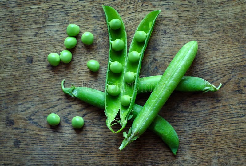 Peas stock image. Image of pods, legume, vegetable, produce - 97570095