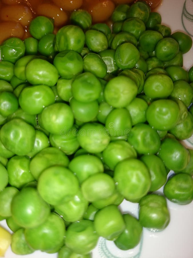 Peas stock photo. Image of peas, veggies, dinner, green - 51160584
