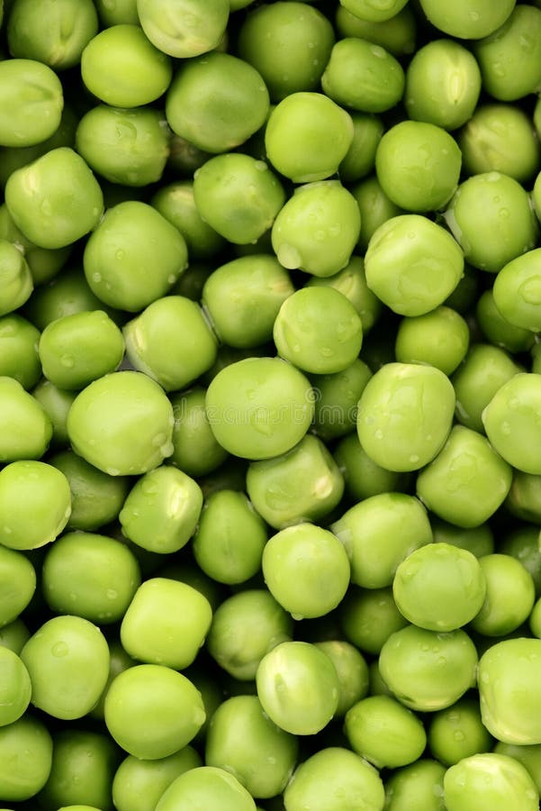 Peas stock image. Image of peas, high, vegetable, superfood - 51770129