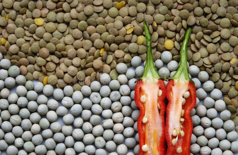 Peas and Lentil stock image. Image of lentil, peas, color - 15549031