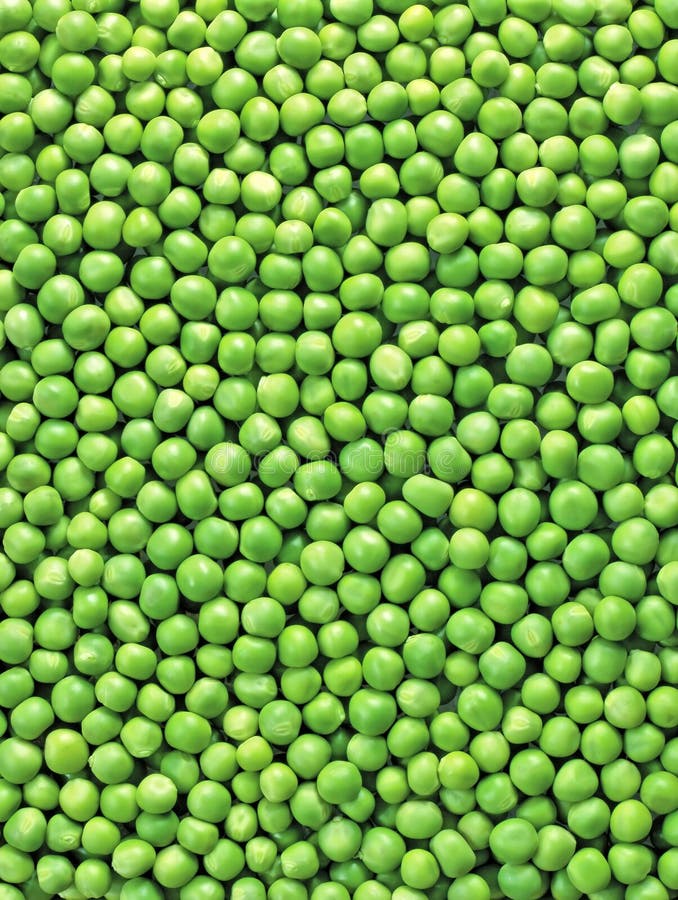 Peas stock photo. Image of close, farm, green, food, fresh - 324450