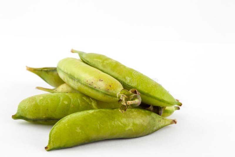 Peas Pisum sativum stock image. Image of peas, fresh - 91992897