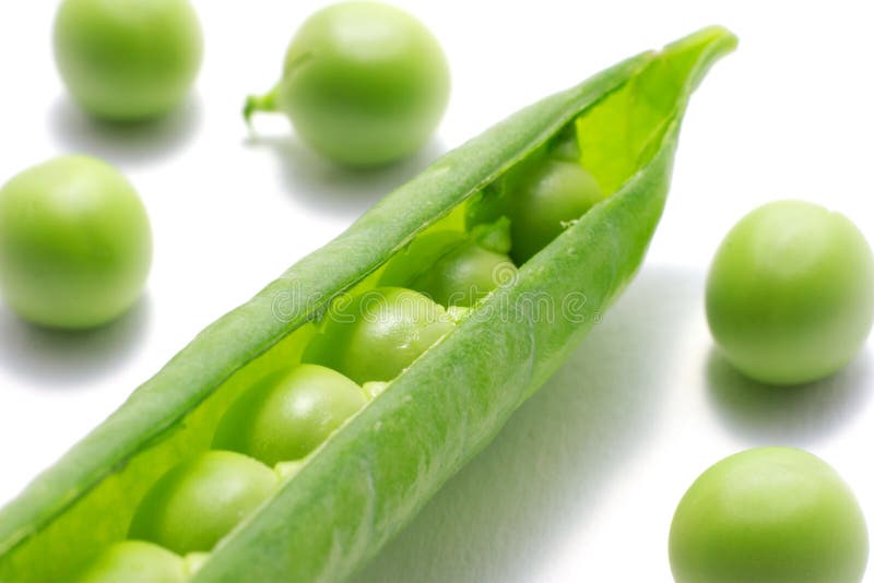 Pea Pod stock image. Image of sugar, snap, legume, healthy - 5556351
