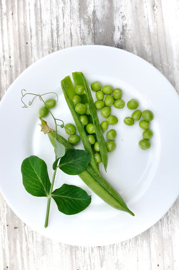 Peas and pod in a plate stock photo. Image of agriculture - 95491032