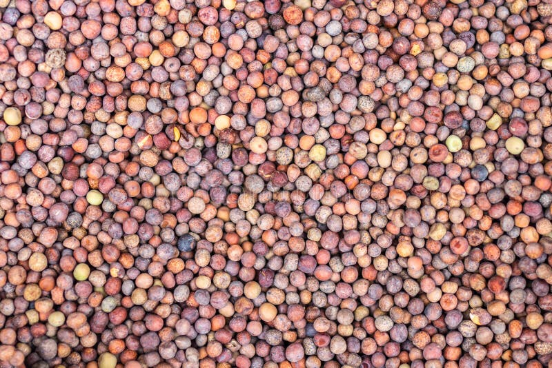 Peas. Red pea. Chickpea stock photo. Image of bean, natural - 133405202