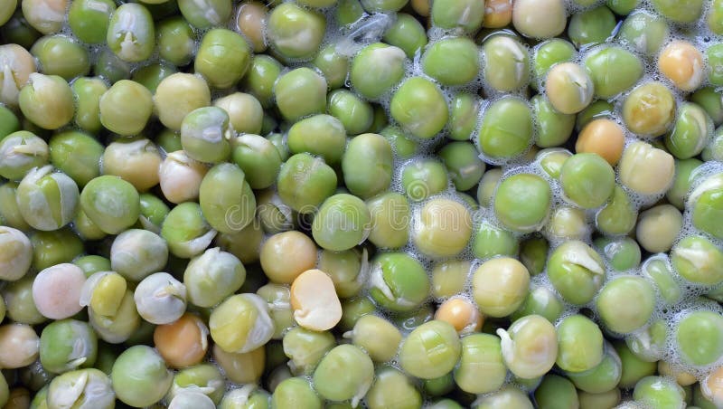 Peas soaking stock image. Image of color, fresh, bean - 98018199
