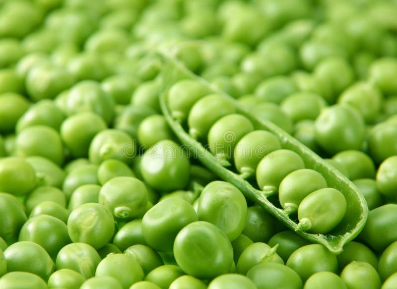 Peas vegetable stock image. Image of open, macro, bean - 9642895