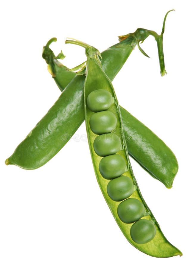 Peas stock image. Image of grocery, farming, nutritious - 324437