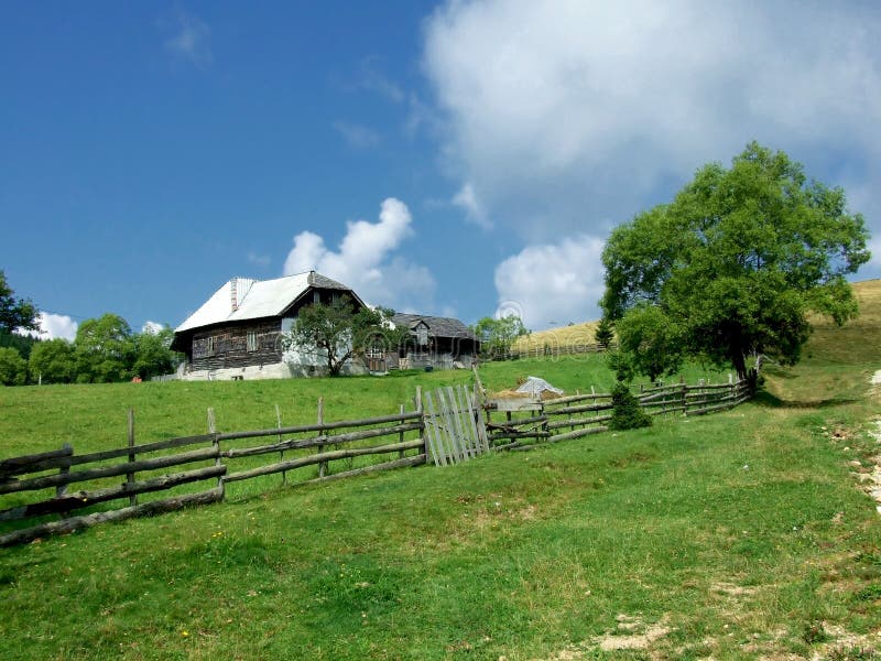 Peasant house stock photo. Image of pine, brasov, tree - 20733594