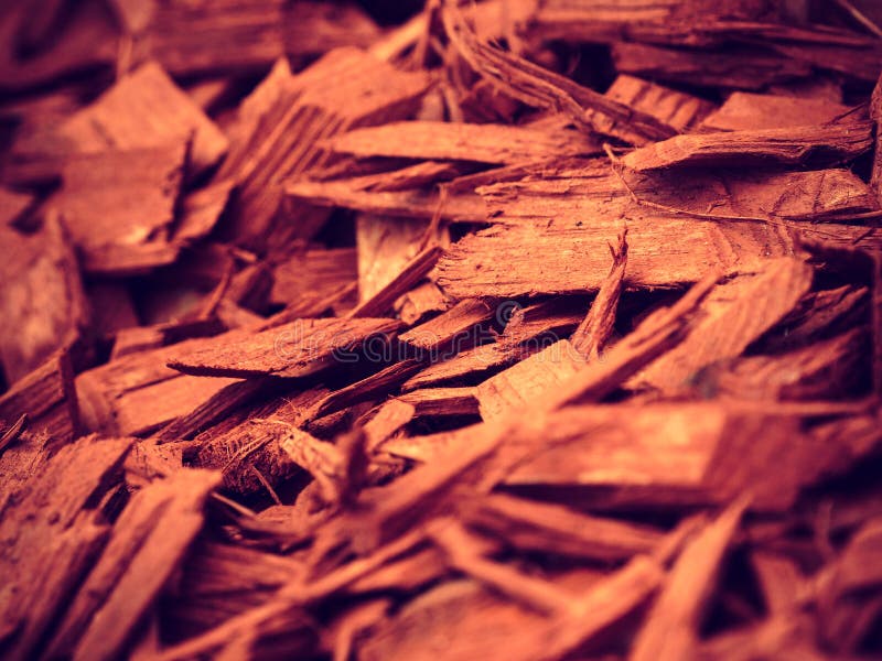 Peat Bark Brown Texture Background Stock Photo - Image of flakes ...