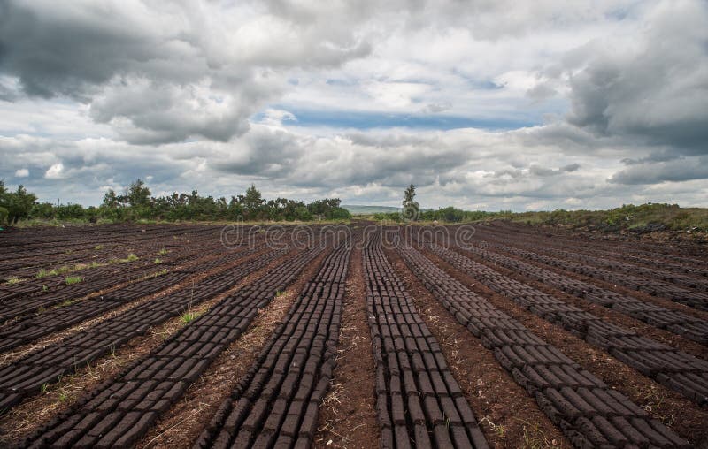 Peat bog landscape stock photo. Image of ireland, fuels - 56493620