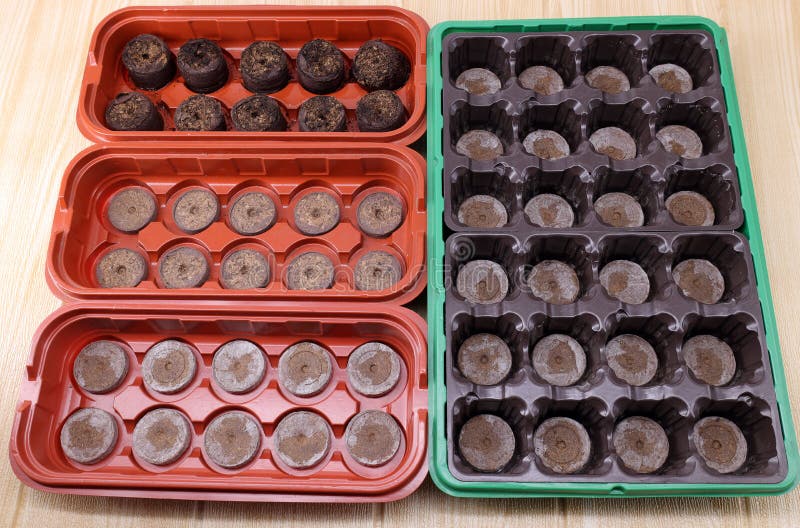 Peat and Coco Tablets for Small Seeds Placed in Plastic Containers ...