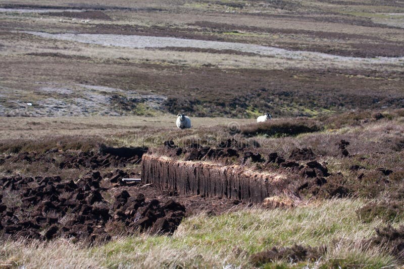 Peat Being Dug Bog Highlands Scotland Stock Photos - Free & Royalty ...