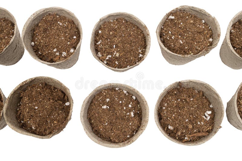 Peat Pots with Soil from Above Isolated on White Stock Photo - Image of ...