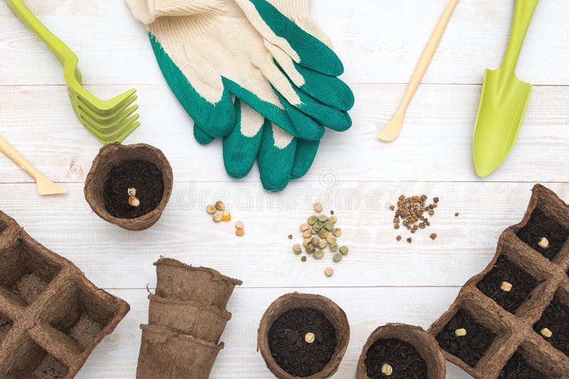 Peat Pots, Tools and Soil are Ready for Planting Seeds. Growing ...
