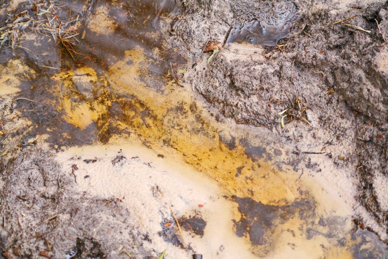 Peat Sediments in the Sandy Bottom of Spring Creek. Soil. the Bottom of ...