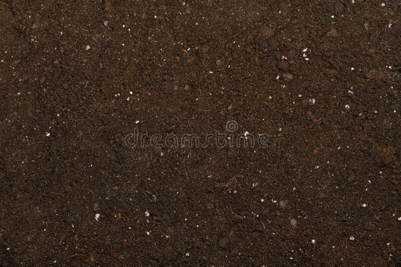 Peat soil stock photo. Image of moss, humus, growing - 21729044