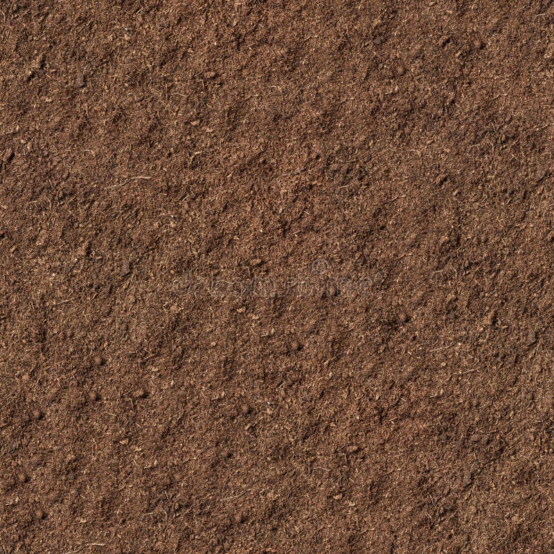 Peat soil stock photo. Image of moss, humus, growing - 21729044