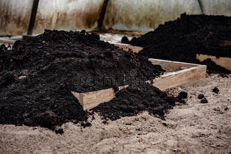 Peat Soil is Poured into the Greenhouse. Stock Image - Image of closeup ...