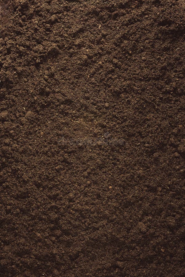 Peat soil stock photo. Image of moss, humus, growing - 21729044