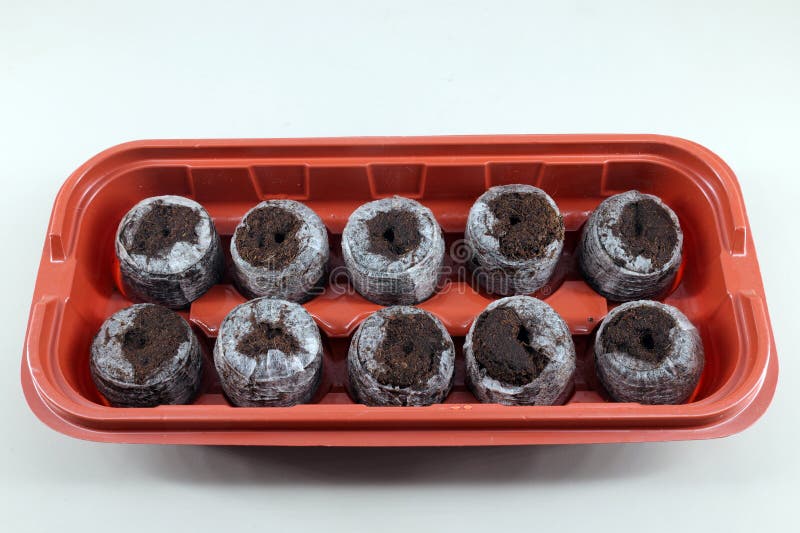 Peat Tablets for Small Seeds Soaked in Water are in a Plastic Container ...