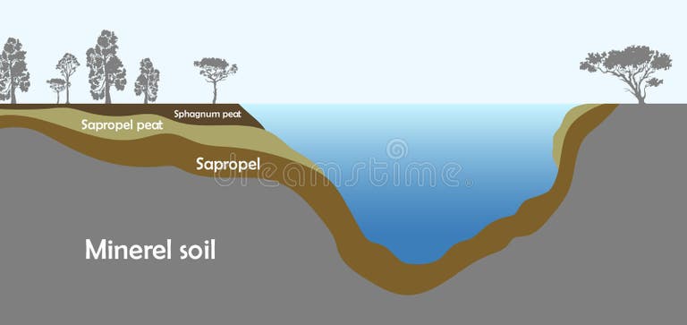 Sediments Vector Stock Illustrations – 86 Sediments Vector Stock ...