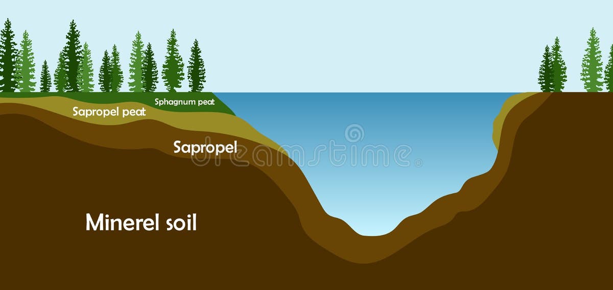 Sediments Vector Stock Illustrations – 85 Sediments Vector Stock ...