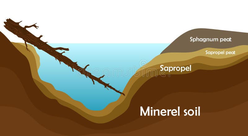Peat vector illustration stock vector. Illustration of biotope - 220327288