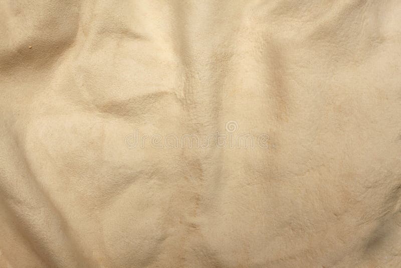 Peau de daim image stock. Image du brun, cuir, type, peau - 12512207