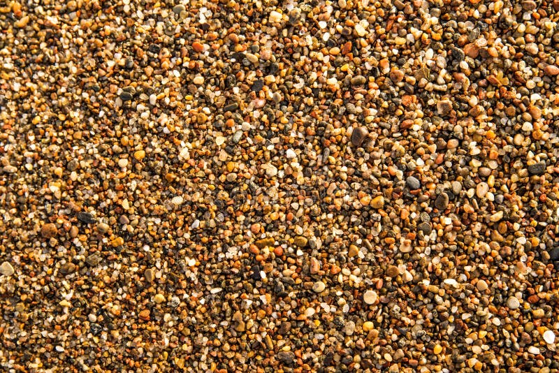 Pebbel stones on a beach stock photo. Image of round - 143883316
