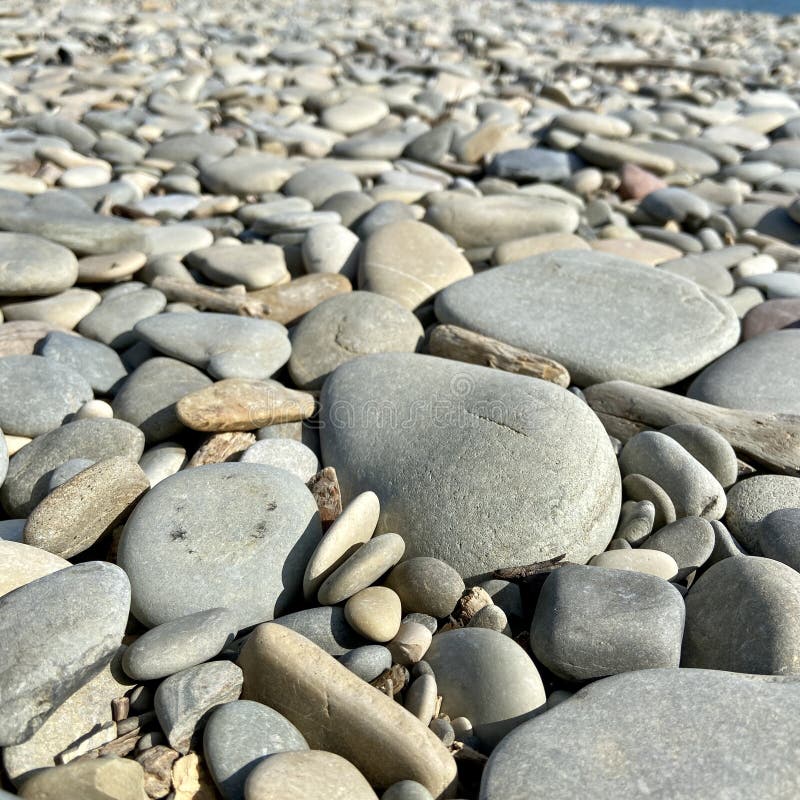 Pebble Beach on the Black Sea Coast Stock Photo - Image of beach ...