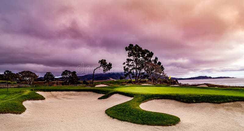 Pebble Beach Lone Tree stock image. Image of monterey - 23564777