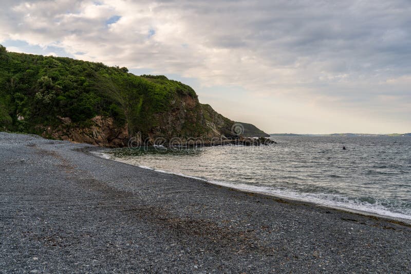 The Pebble Beach in Porthallow Cove, Cornwall, England Stock Image ...