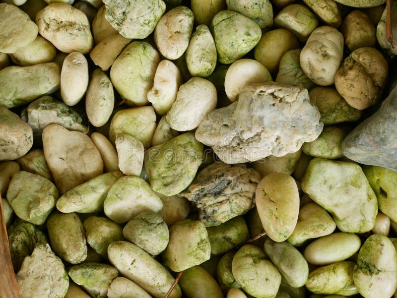 Pebble Beach Stone Nature Background,Pebble Stone Pattern. Stock Image ...