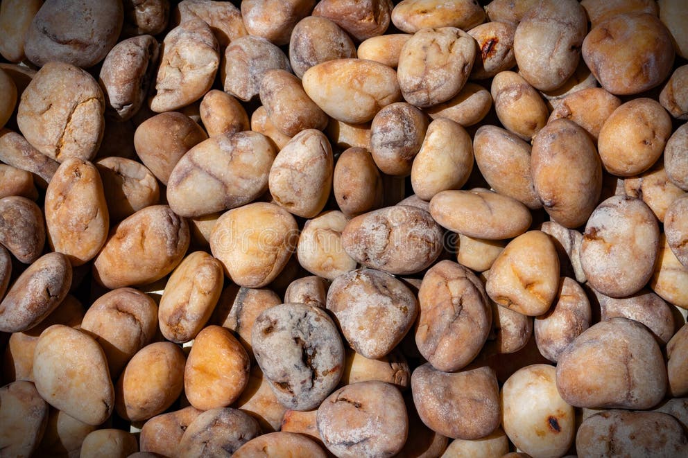 Pebble Beach Stones Multiple Colors Texture Background Stock Image ...