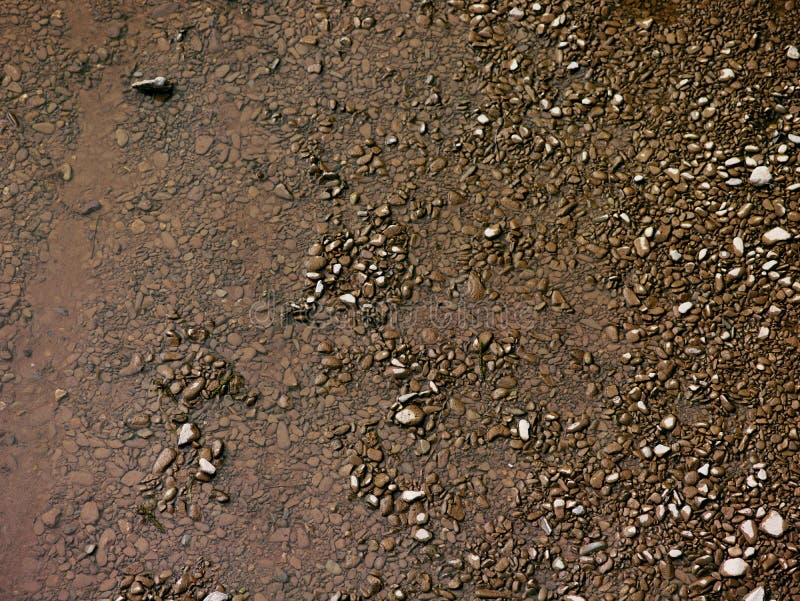 Pebble Beach with Water Sand and Mud Stock Photo - Image of people ...