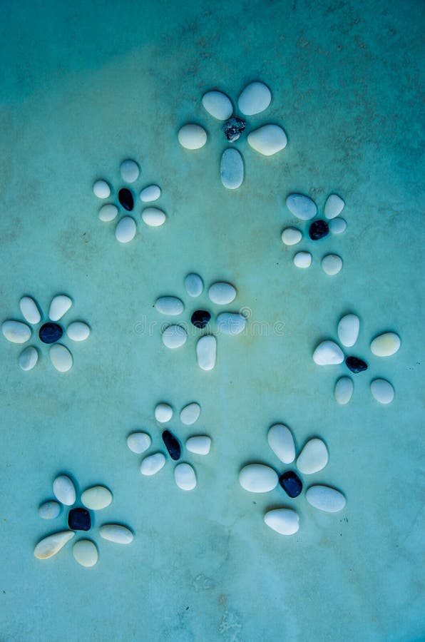 Pebble flowers background stock photo. Image of butterfly - 109194004