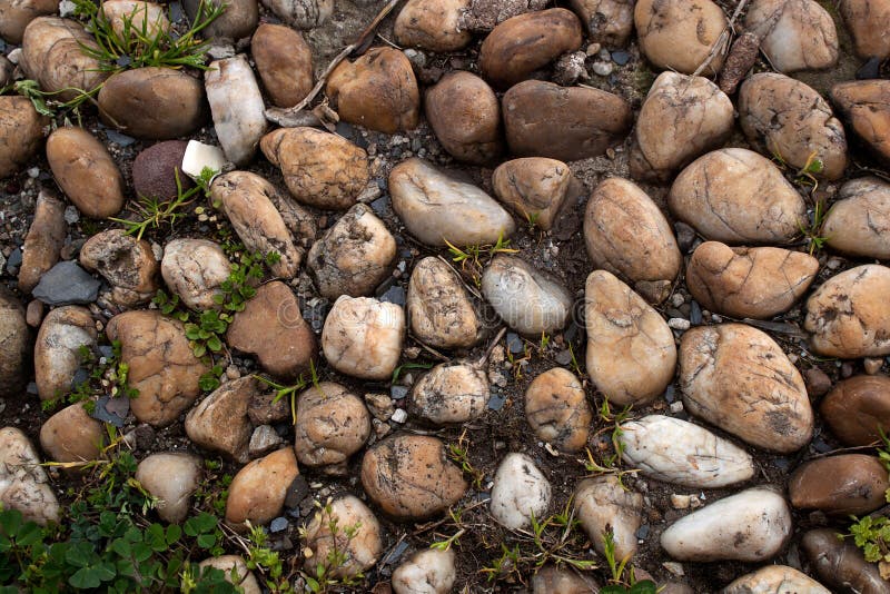 Pebble and grass stock image. Image of frame, outdoors - 32942819
