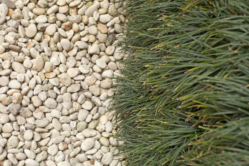 Pebble and grass stock photo. Image of green, lines, rock - 32942844
