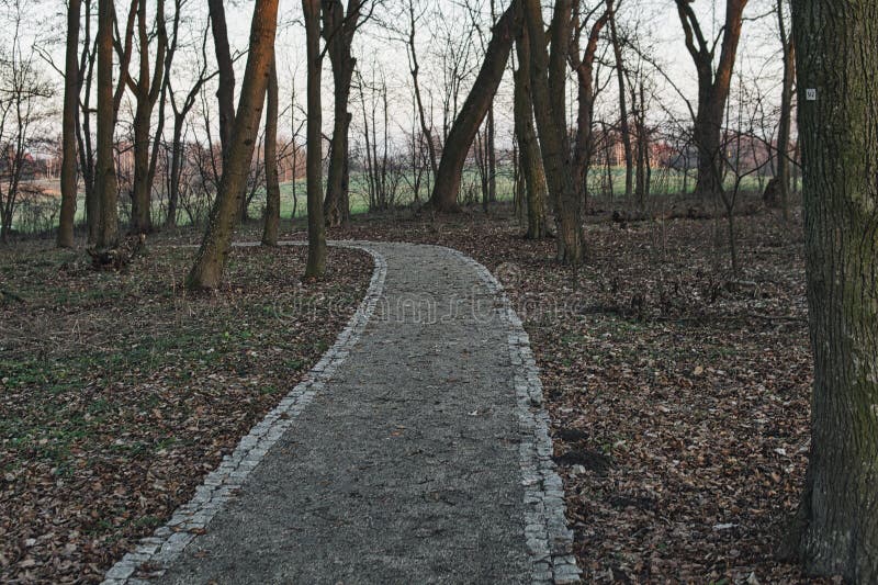 Pebble Ground Path through a Park with Trees Stock Image - Image of ...