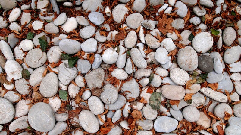 Pebble and Leaves Background Stock Image - Image of background, pebble ...