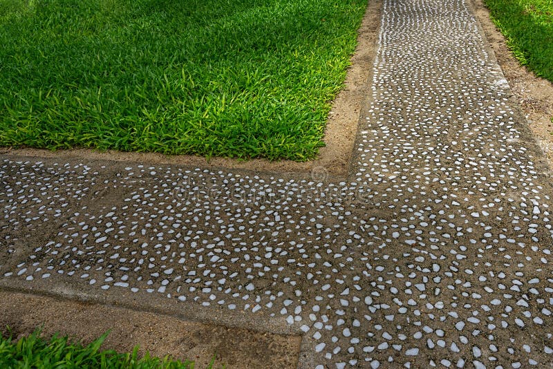Pebble path in the park stock photo. Image of adhesion - 229019376