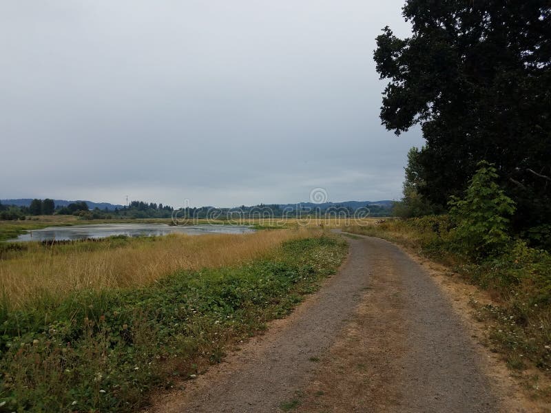 Pebble Path or Trail with Water in Wetland Area Stock Image - Image of ...