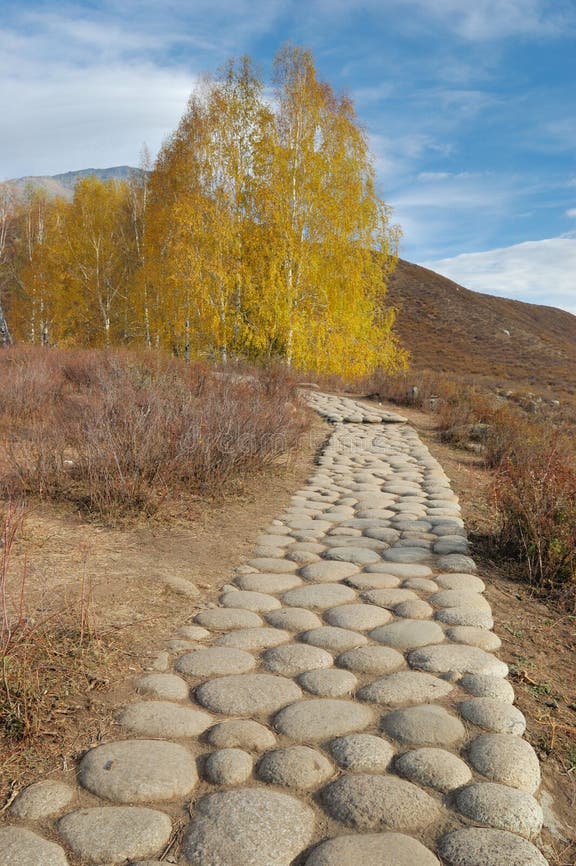 Pebble Pavement stock photo. Image of pebble, fall, birch - 3655848