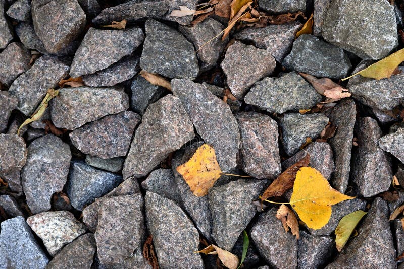 Pebble Pile Texture Close Up Photo, Rocks Pattern Stock Photo - Image ...